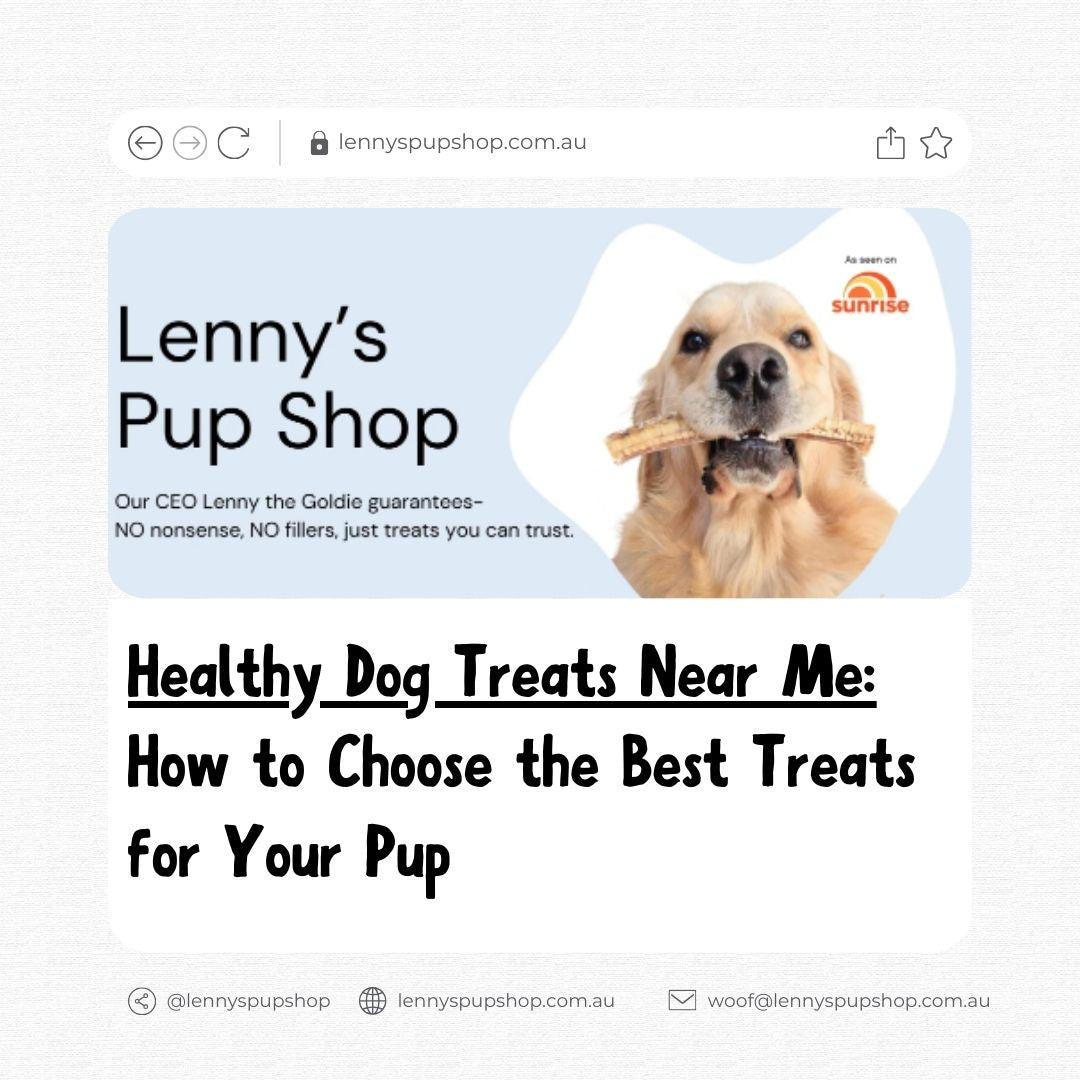 Healthy Dog Treats Near Me Melbourne How To Choose The Best Treats Healthy Dog Treats Near Me Melbourne How To Choose The Best Treats