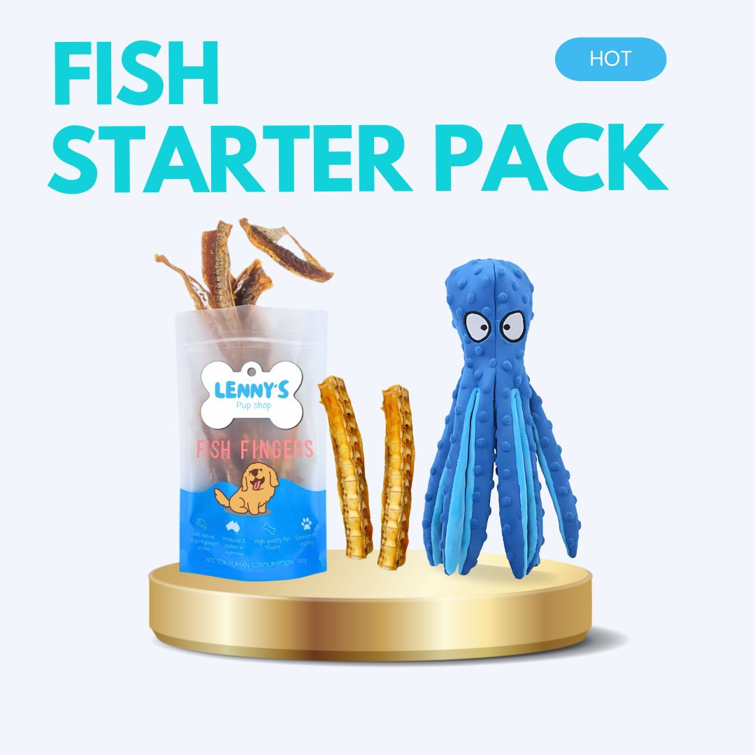 Fish Starter Pack for Dogs | Natural Treats & Toys