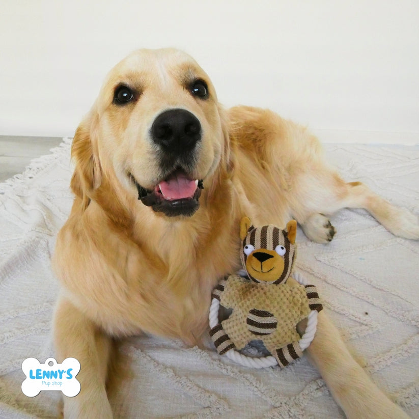 Rascal Racoon Plush Dog Toy | Durable & Fun | Lenny's Pup Shop
